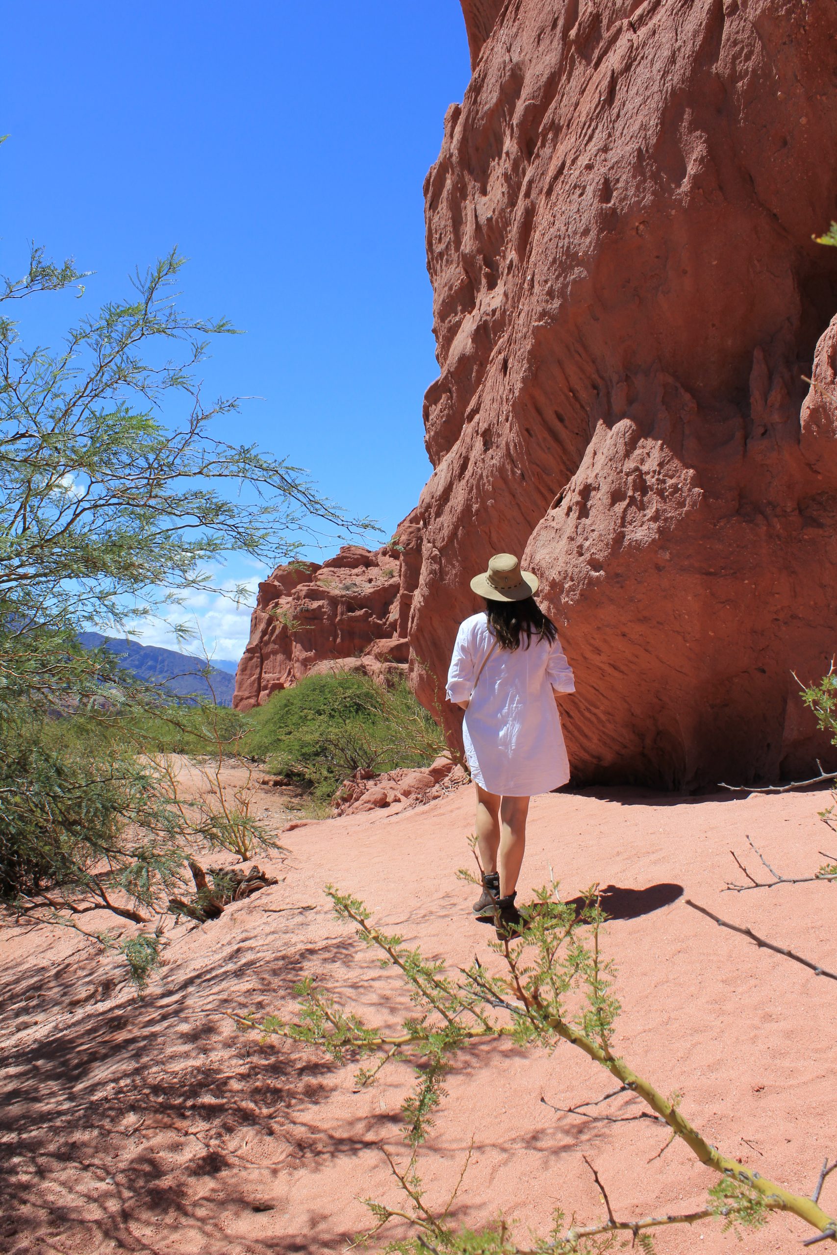El camino de Salta a Cafayate es impresionante – Viajar Juntas